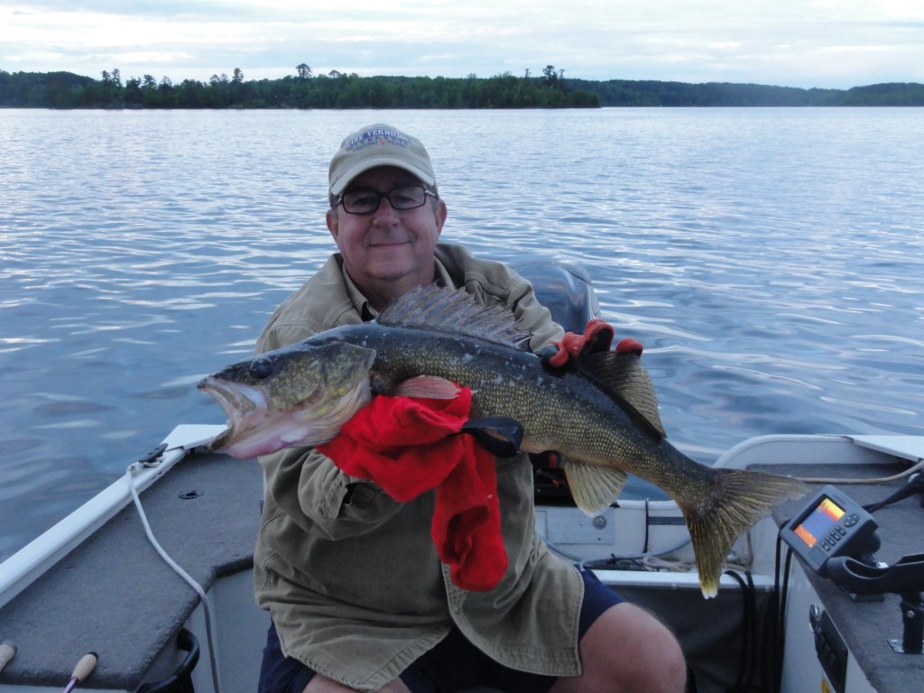 Good-Quality-Walleye-Picture - Fishing Hall of Fame of Minnesota