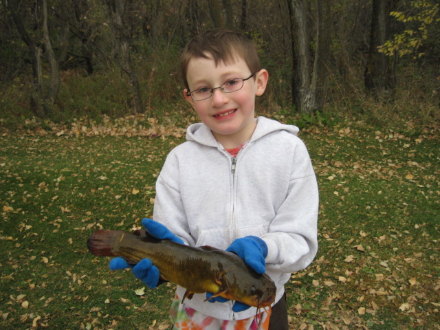 Evan-Rasset-Yellow-Bullhead - Fishing Hall of Fame of Minnesota