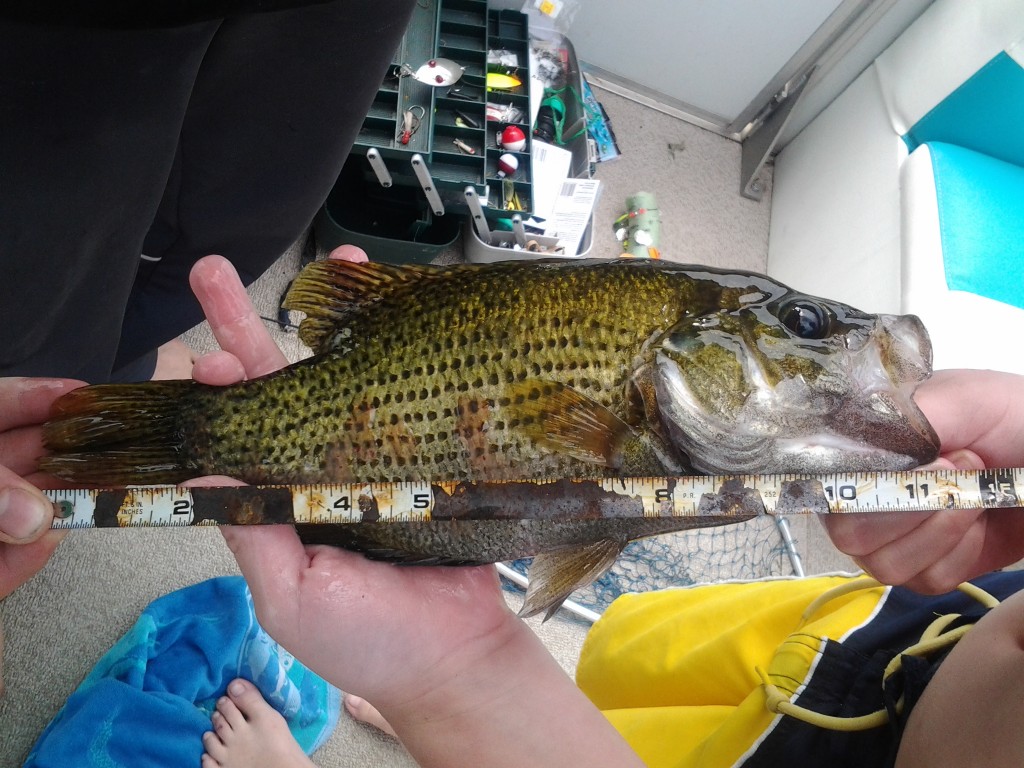 Jean Spilker - Fishing Hall of Fame of Minnesota