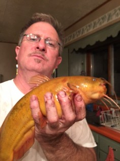 Yellow-Bullhead - Fishing Hall of Fame of Minnesota