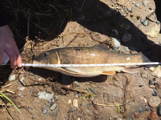 Gavin Melcher - Fishing Hall of Fame of Minnesota