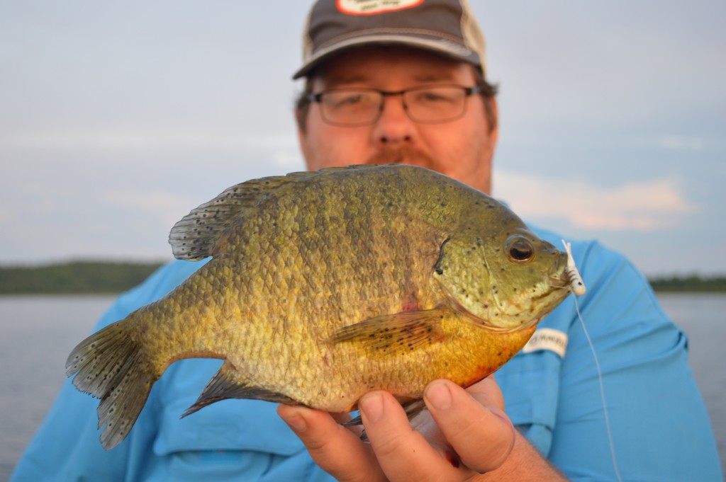 Justin Moen - Fishing Hall of Fame of Minnesota