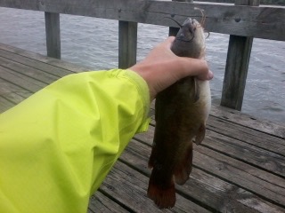 Evan Divine - Fishing Hall of Fame of Minnesota