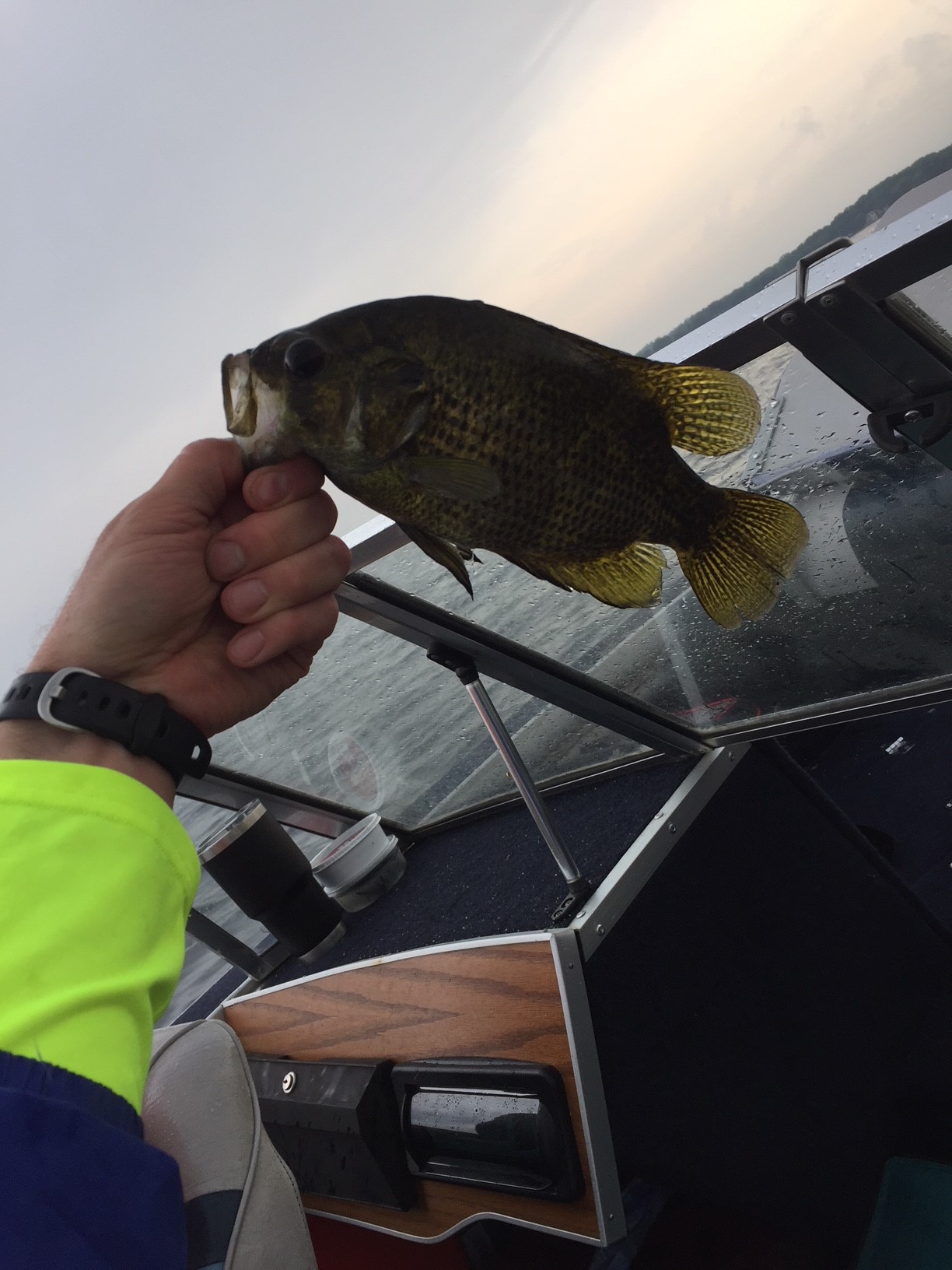 Scot Larson - Fishing Hall of Fame of Minnesota