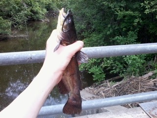 Evan Divine - Fishing Hall of Fame of Minnesota