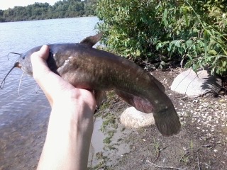 Evan Divine - Fishing Hall of Fame of Minnesota