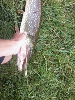 Evan Divine - Fishing Hall of Fame of Minnesota