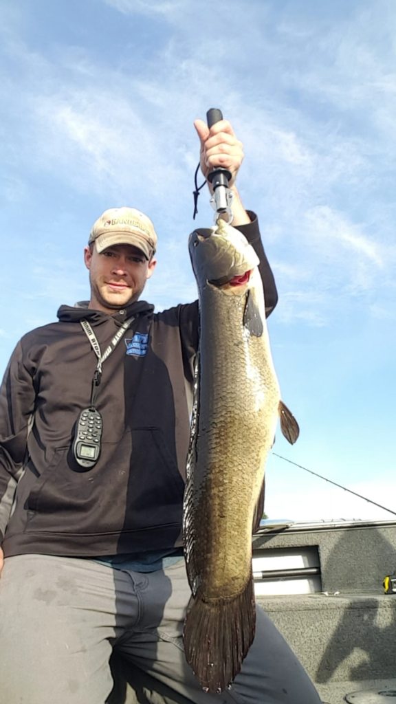 Bowfin-06-20-2020 - Fishing Hall of Fame of Minnesota