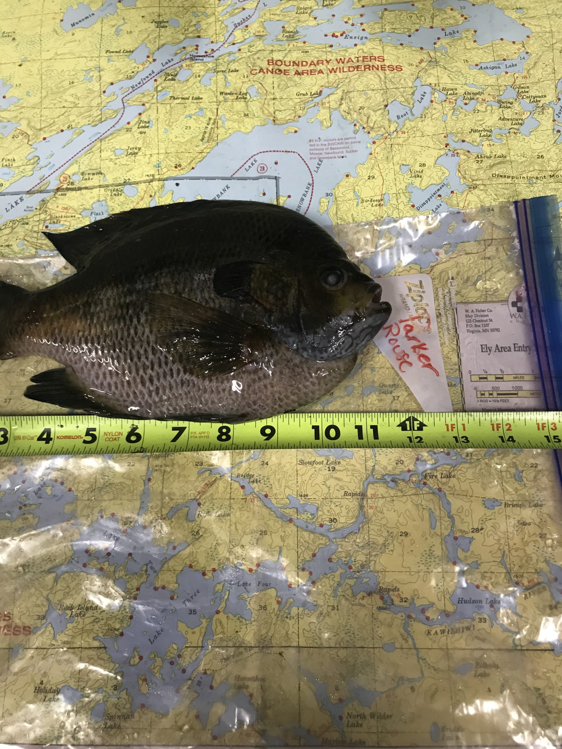 Parker Rouse - Fishing Hall of Fame of Minnesota