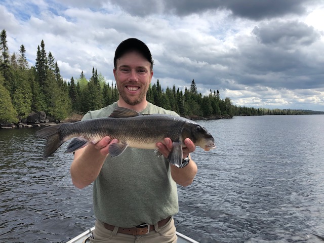 white-sucker - Fishing Hall of Fame of Minnesota