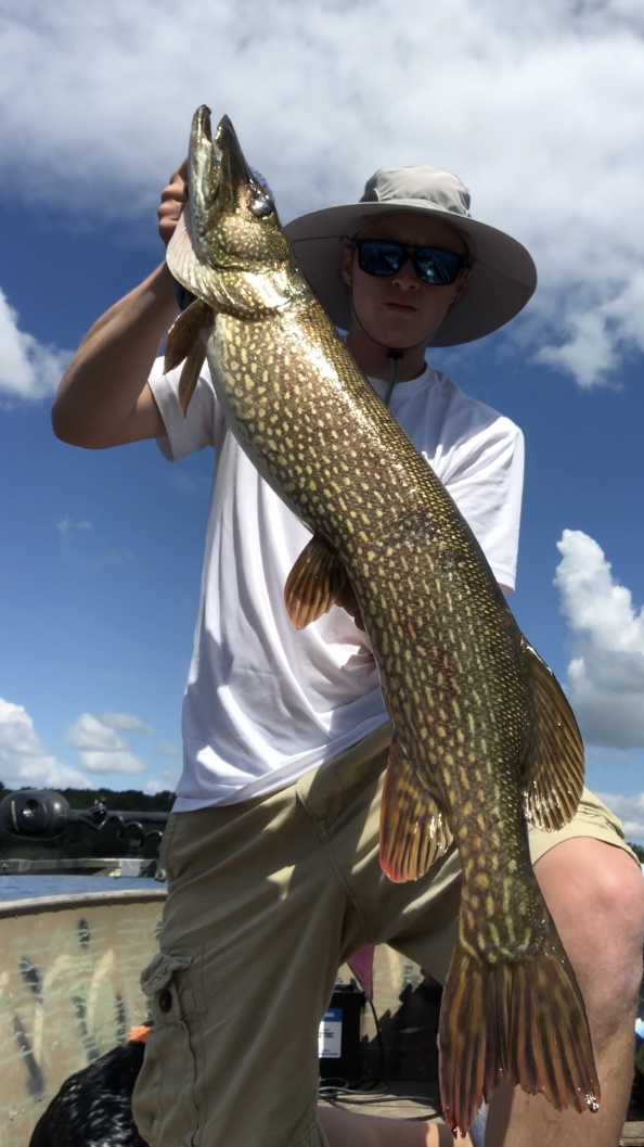 Northern - Fishing Hall of Fame of Minnesota