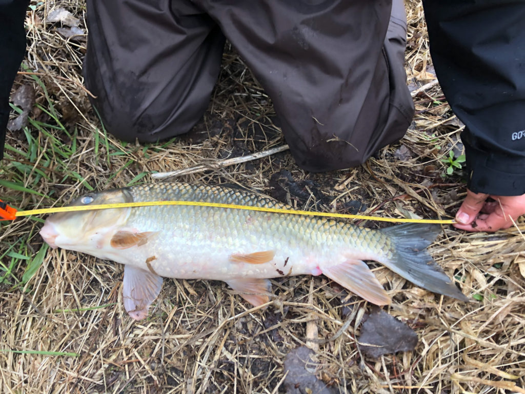 Jace Willy - Fishing Hall of Fame of Minnesota