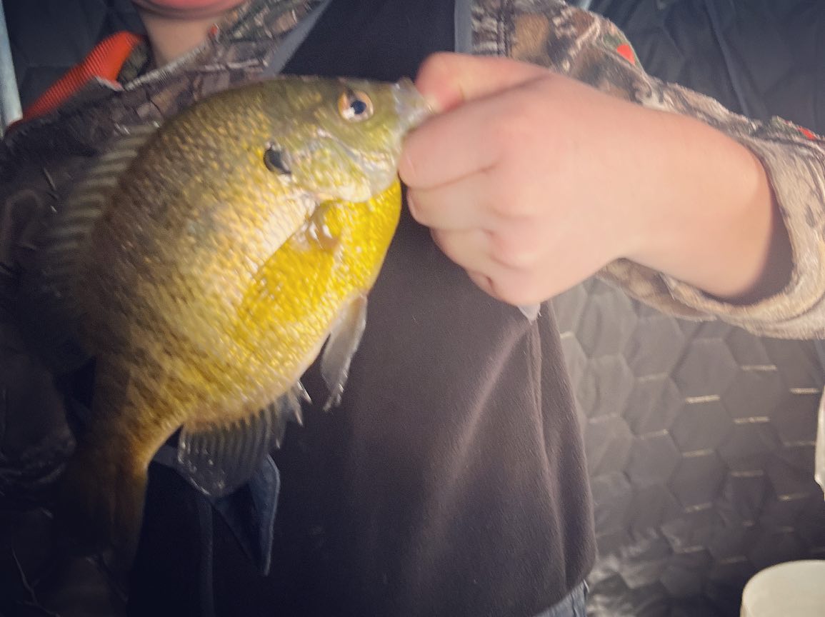 SUNFISH-MARCH30-2022-10 - Fishing Hall of Fame of Minnesota