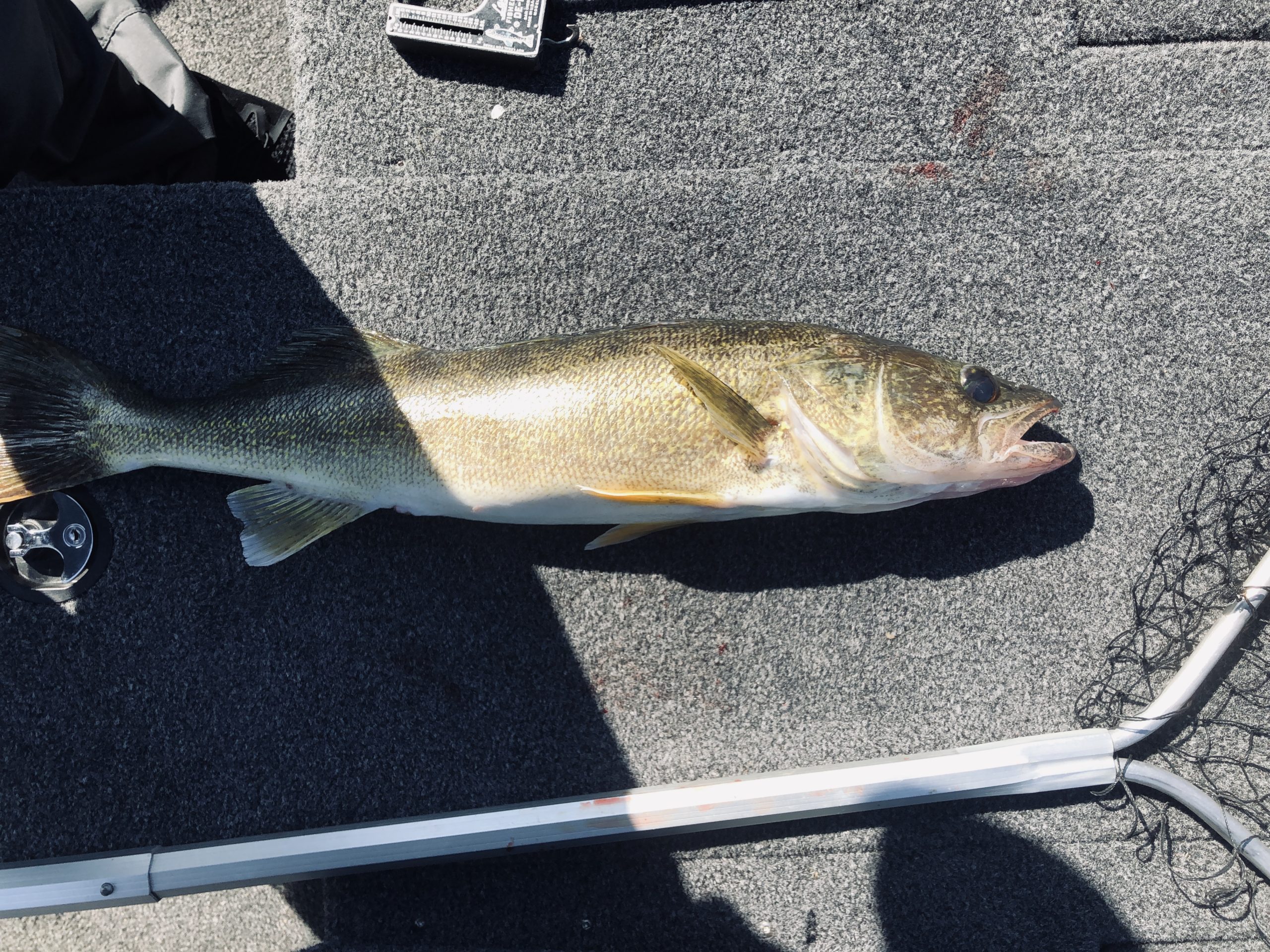 Jason Groh - Fishing Hall of Fame of Minnesota