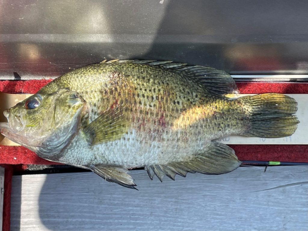 George Rakes - Fishing Hall of Fame of Minnesota