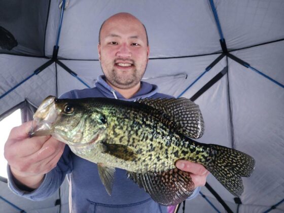 15-Inch-Crappie-Lily-Lake-Stillwater-December-17th-2022 - Fishing Hall ...
