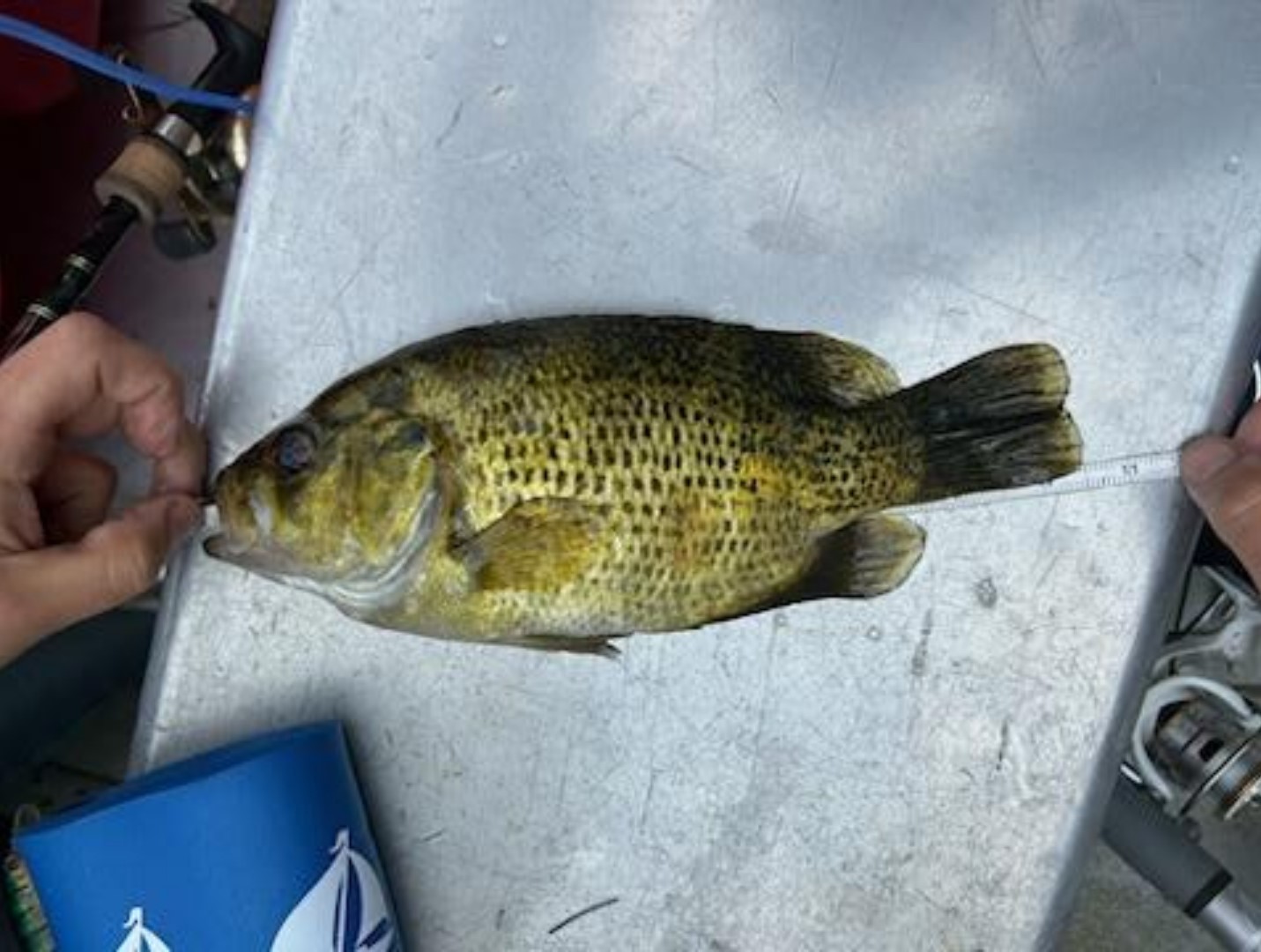 Colten Smith - Fishing Hall of Fame of Minnesota