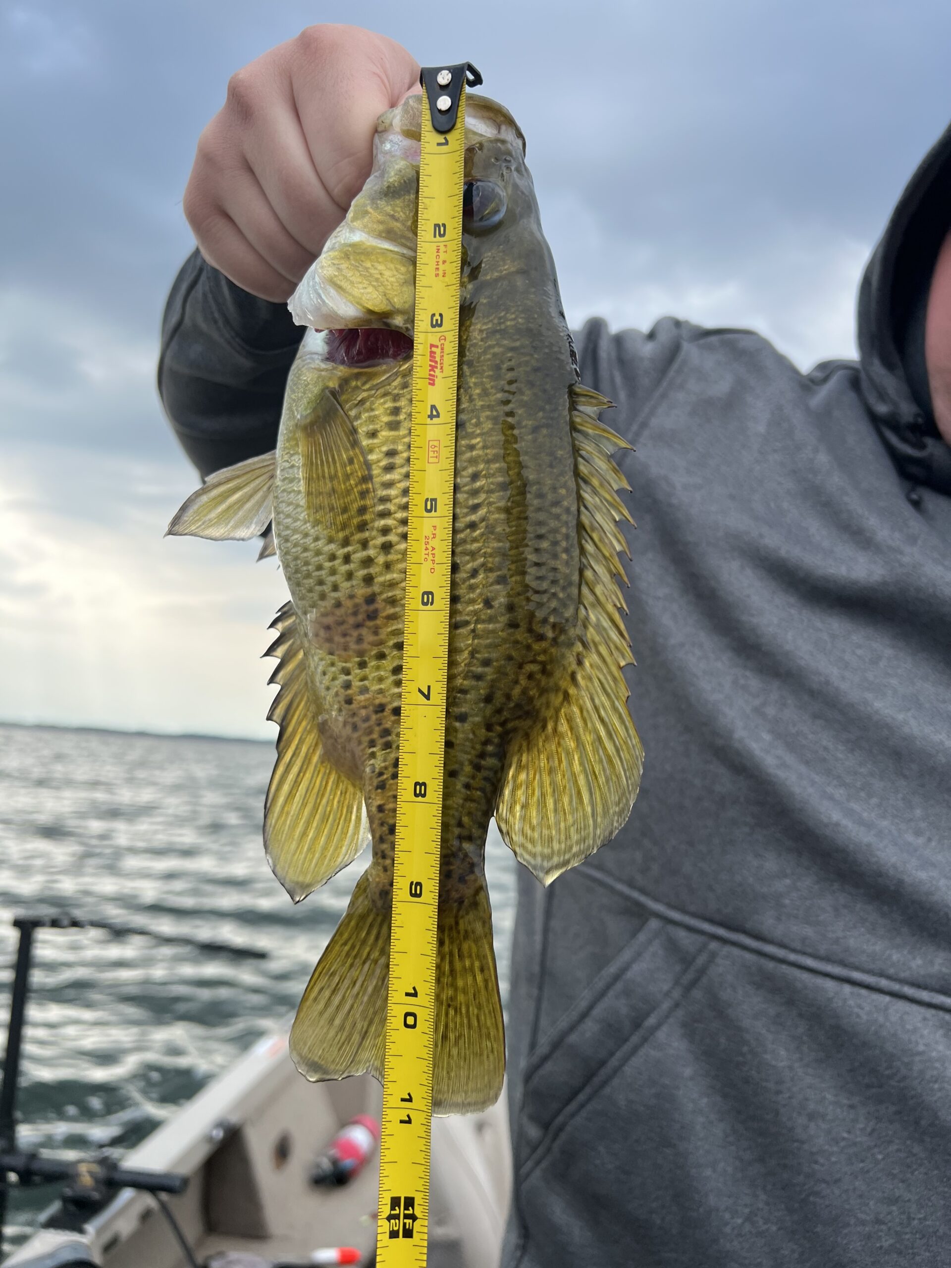 Tyler Olson - Fishing Hall of Fame of Minnesota