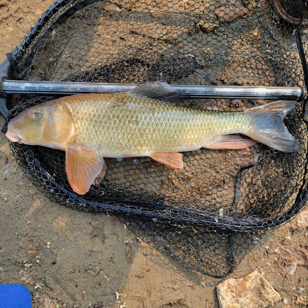 Tyler Winter - Fishing Hall of Fame of Minnesota
