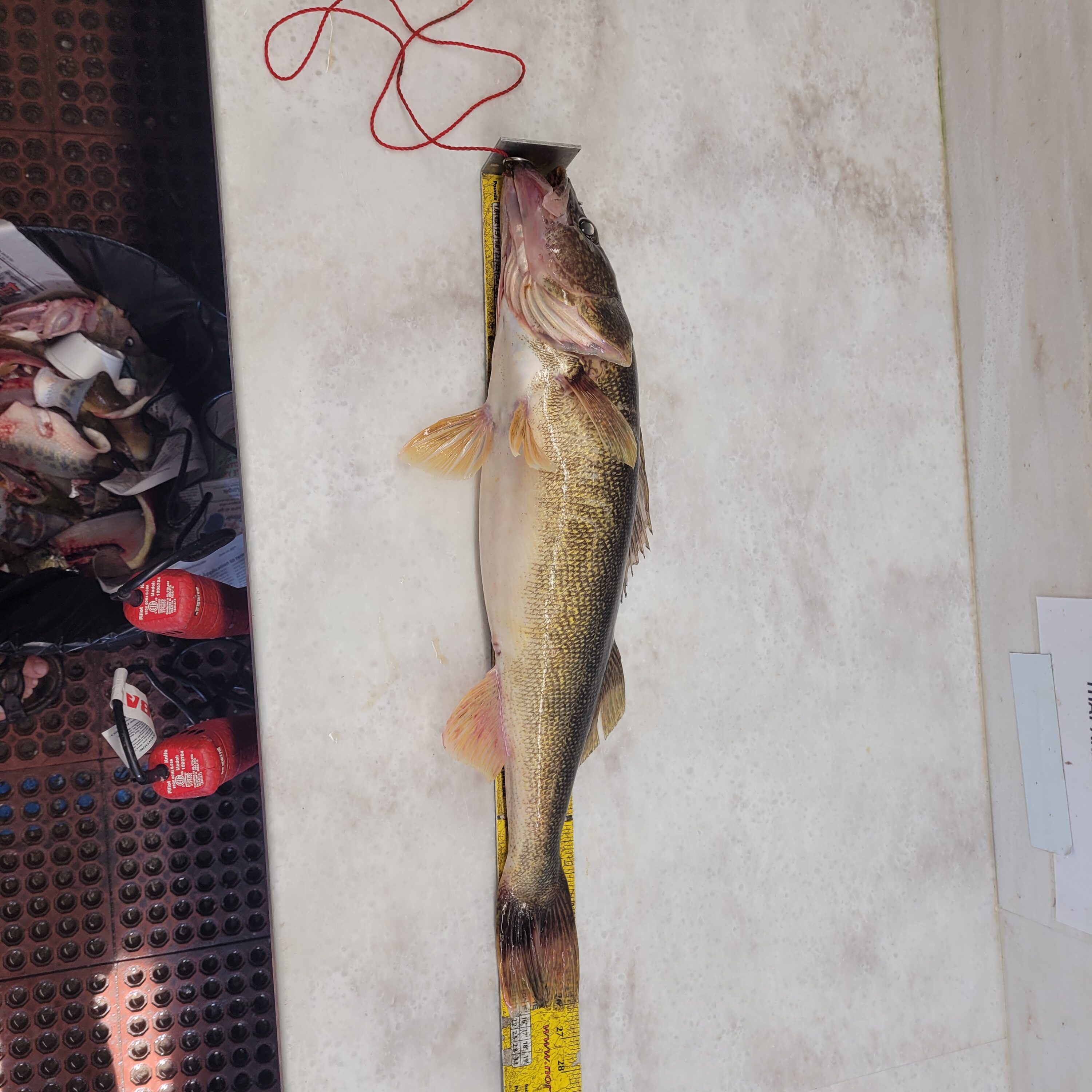 Jeff Comer - Fishing Hall of Fame of Minnesota