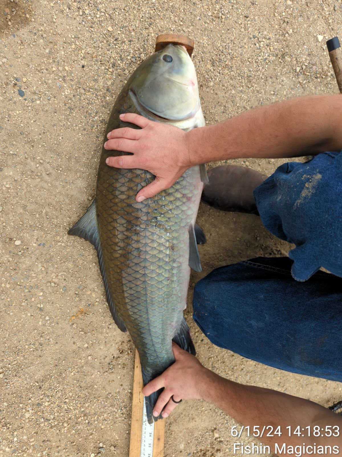 Ryan Snyder - Fishing Hall of Fame of Minnesota