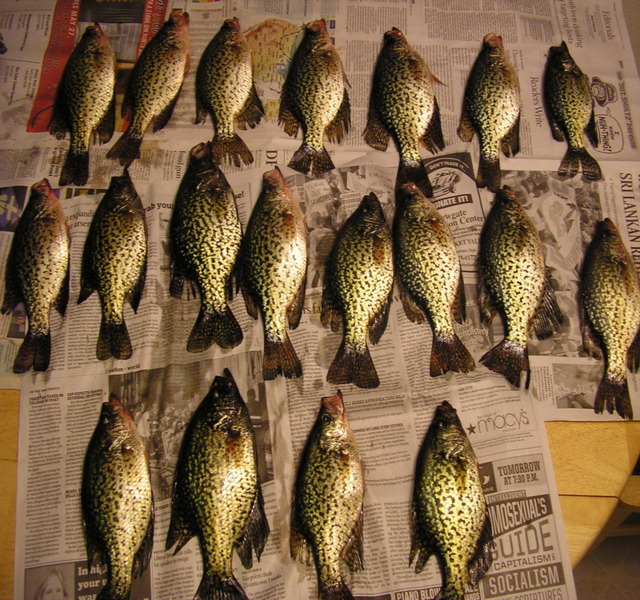 Eric Stringfellow - Fishing Hall of Fame of Minnesota